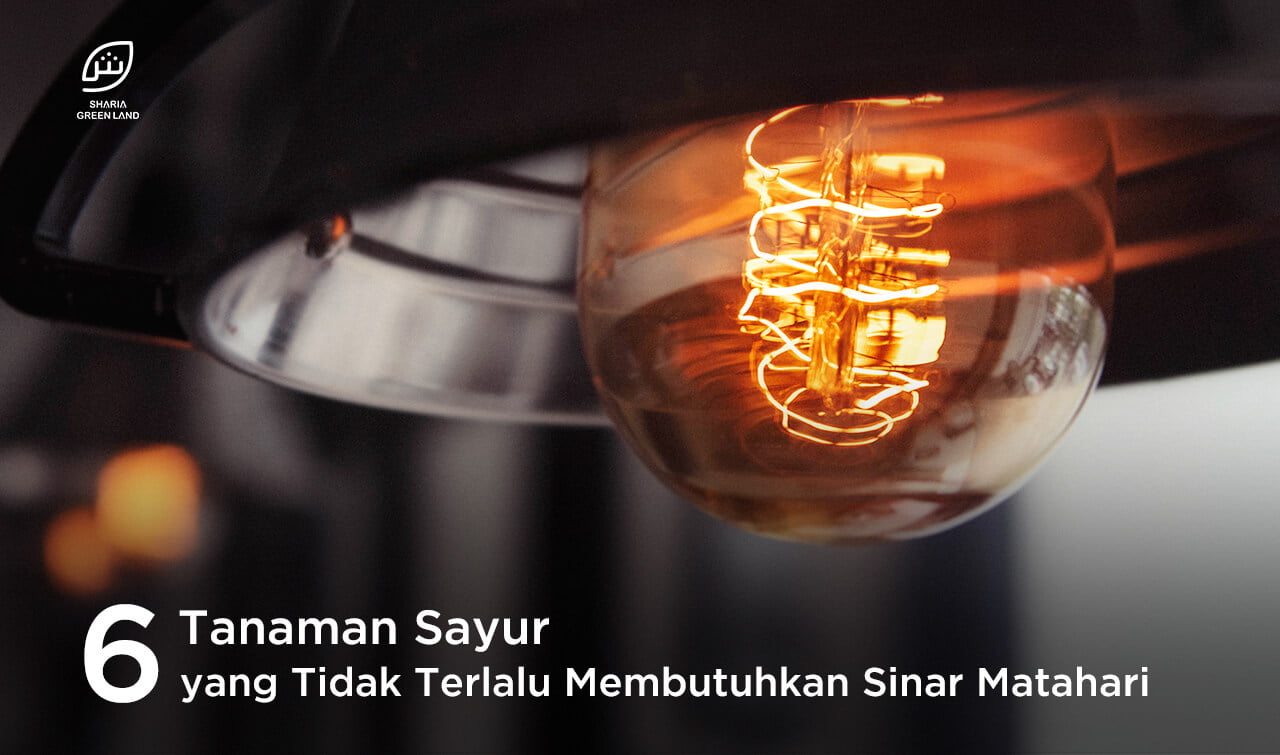Tagihan Listrik Anda Membengkak? Ini Cara Menghemat Energi Listrik Di Rumah